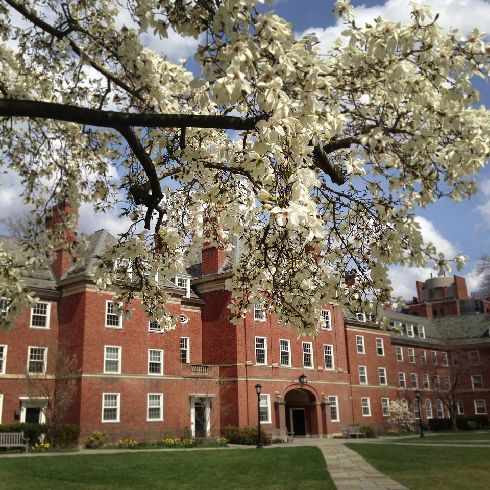 Postdoc Training Assessment | Office for Postdoctoral Affairs